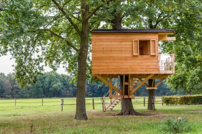 Creative Custom Treehouse Building for Safe Outdoor Fun